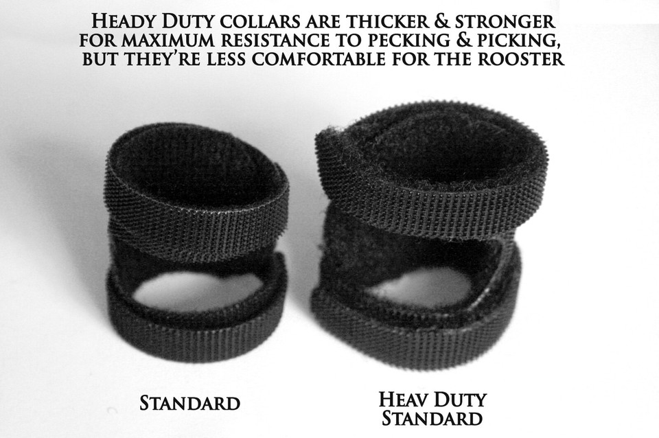 DRF's Crow Reduction Collar - regular or bantam sizes - rooster chicken ...