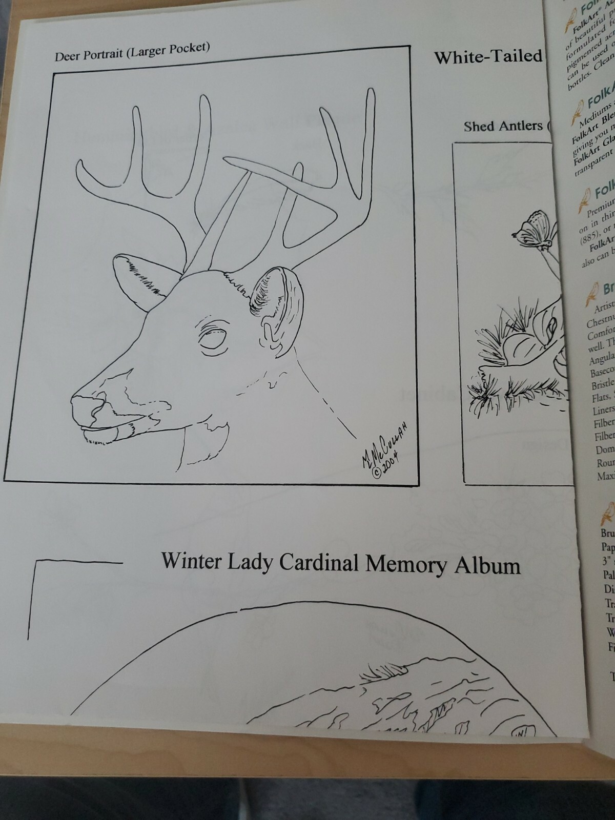 Plaid Acrylic Paint Instruction Book - A Walk In The Woods - by Mary ...