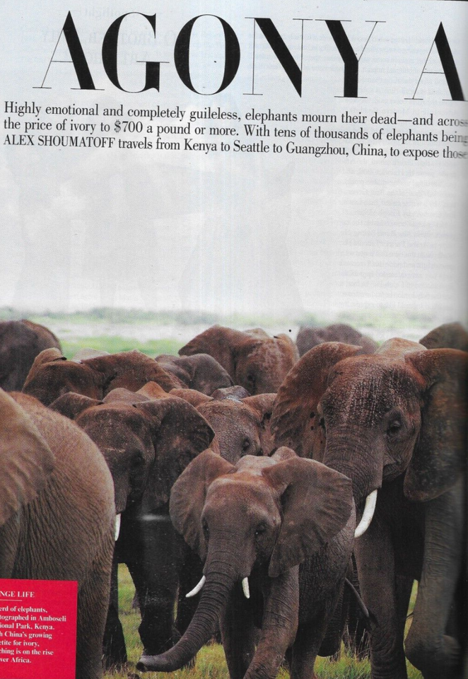 Vanity Fair Magazine Emma Stone Prince Andrew Slaughter of Elephants ...