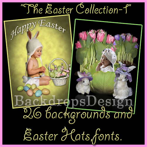 DIGITAL PHOTOGRAPHY BACKDROPS BACKGROUNDS PROPS FANTASY FLOWERS BABY ...