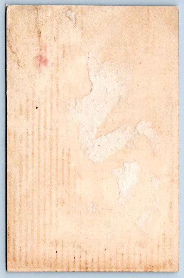 1880's ZOZOR RETURNING FROM THE BATH TERRIER DOG PUPPY BEACH CHILD ...