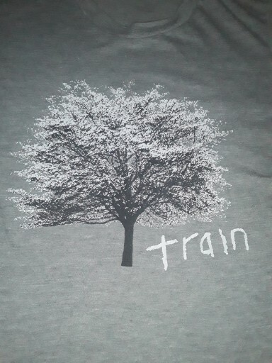 Rare - Rock band TRAIN - Vintage Tultex T-shirt Small - Gem