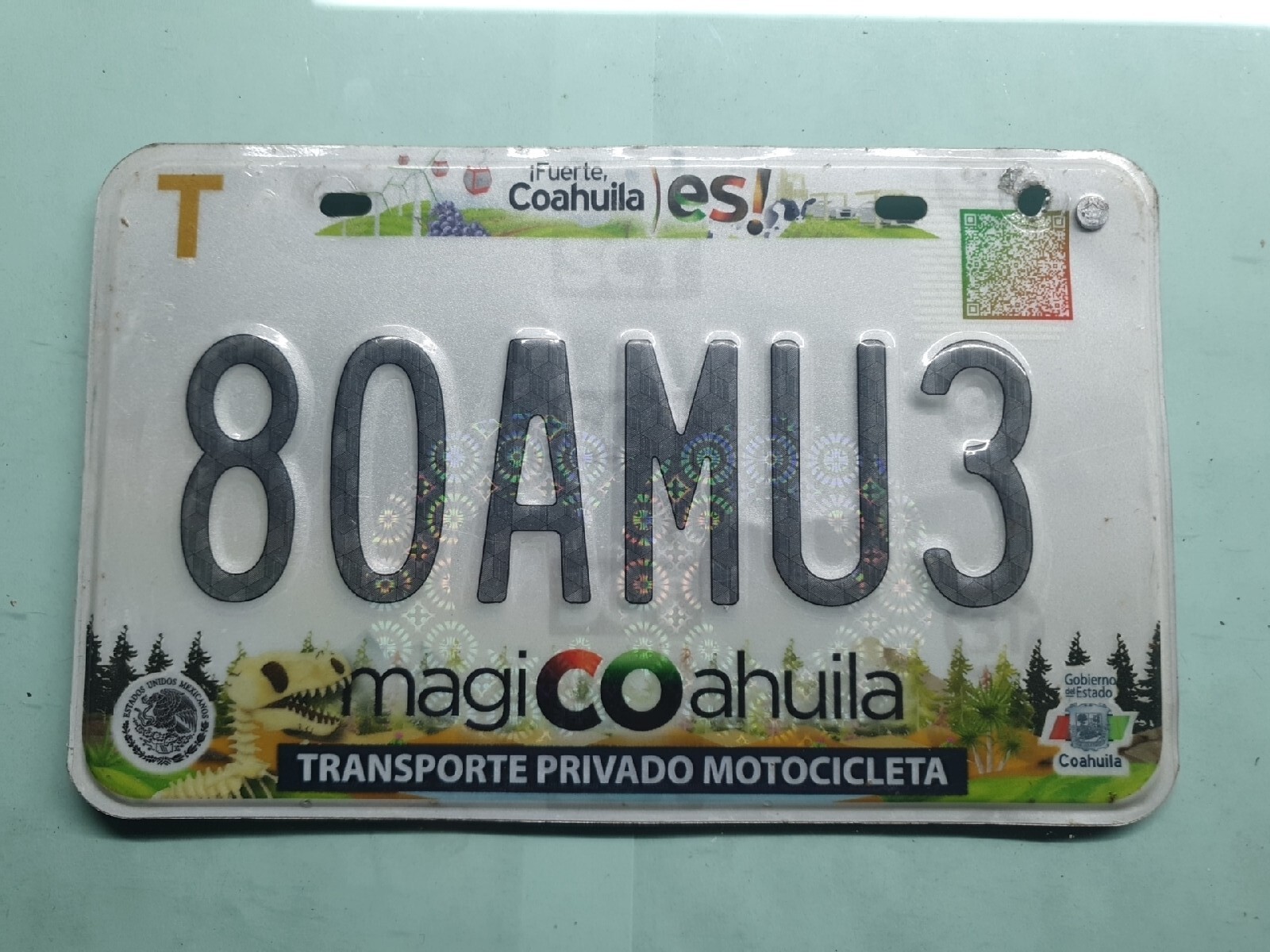Coahuila Mexico motorcycle license plate | eBay