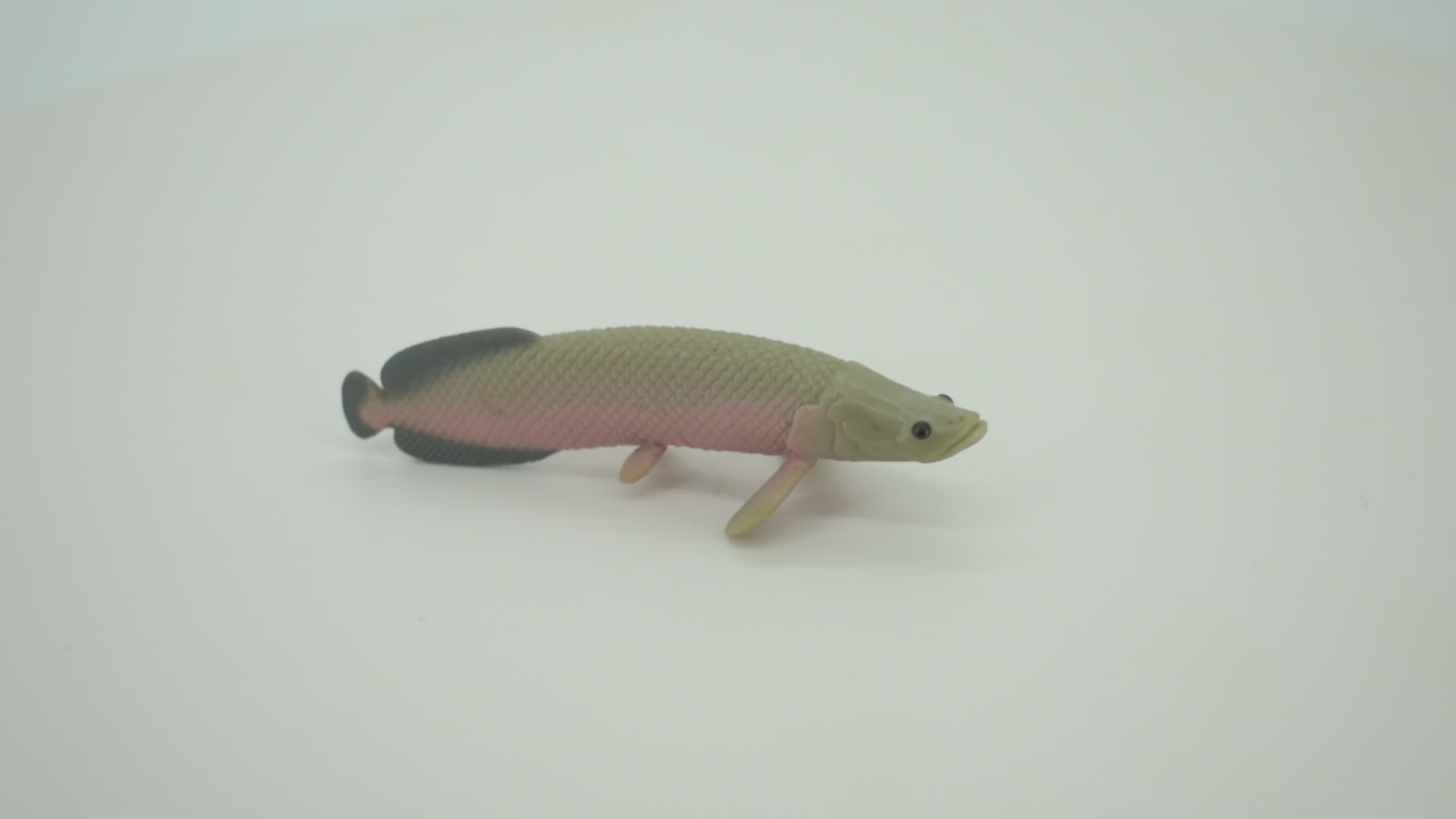Arapaima Toy Paiche Fish Hand Painted Realistic Rubber Fishing Gift, 3 ...