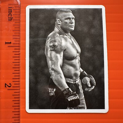 Brock Lesnar Sticker Wrestling Wrestler WWE | eBay