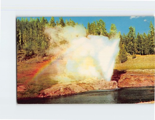Postcard Riverside Geyser Yellowstone National Park Wyoming USA | eBay