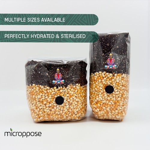 All-In-One Mushroom Grow Bag 900g - 1.5Kg Popcorn Grain Spawn & CVG ...