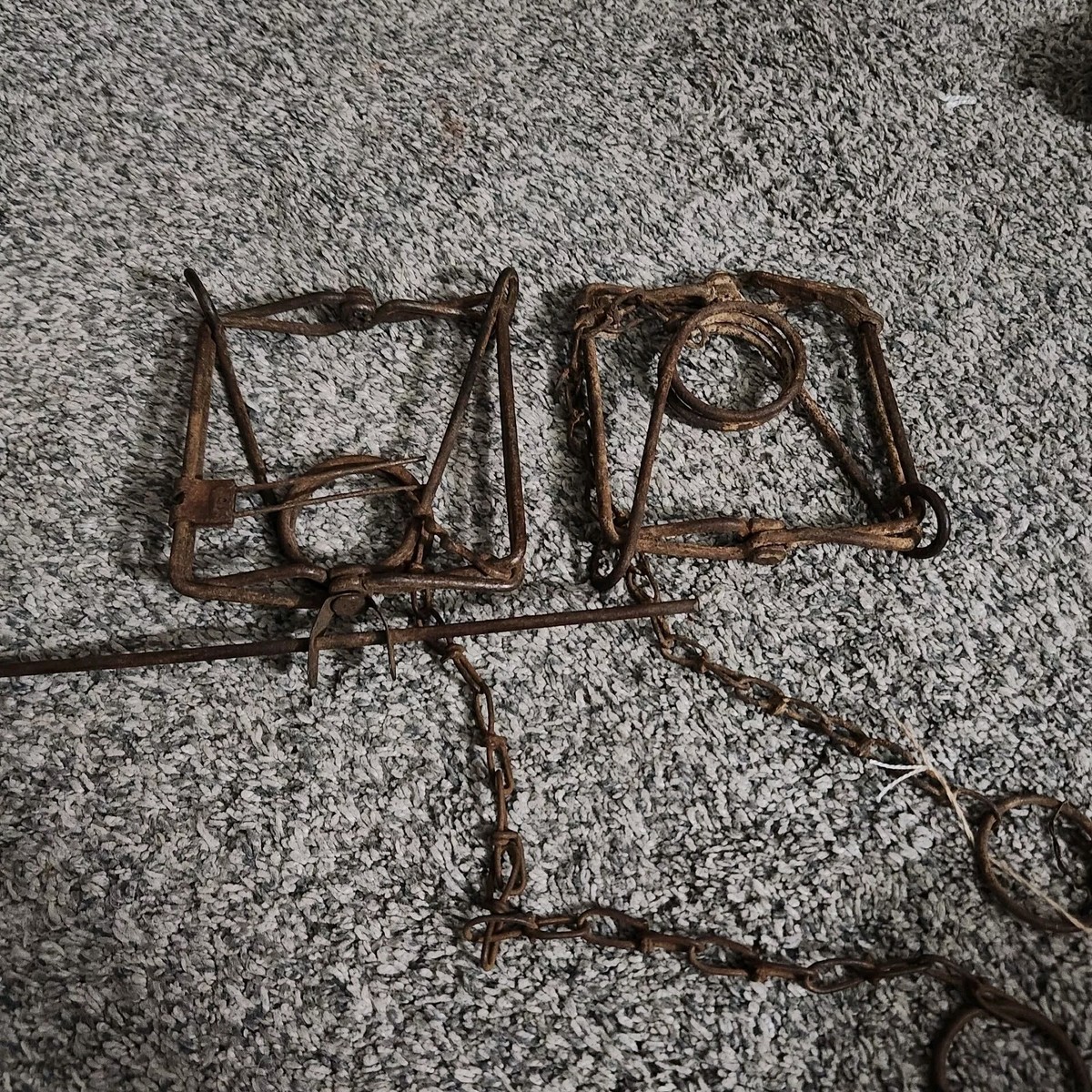 Trapping Season Starts Tuesday With Foothold Trap Okd By TS 85 Beaver