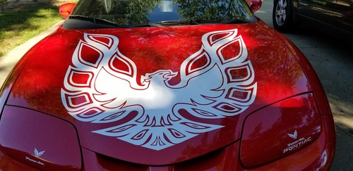 Pontiac Firebird Trans Am Hood Bird Sticker Decal Vinyl Black White Red ...