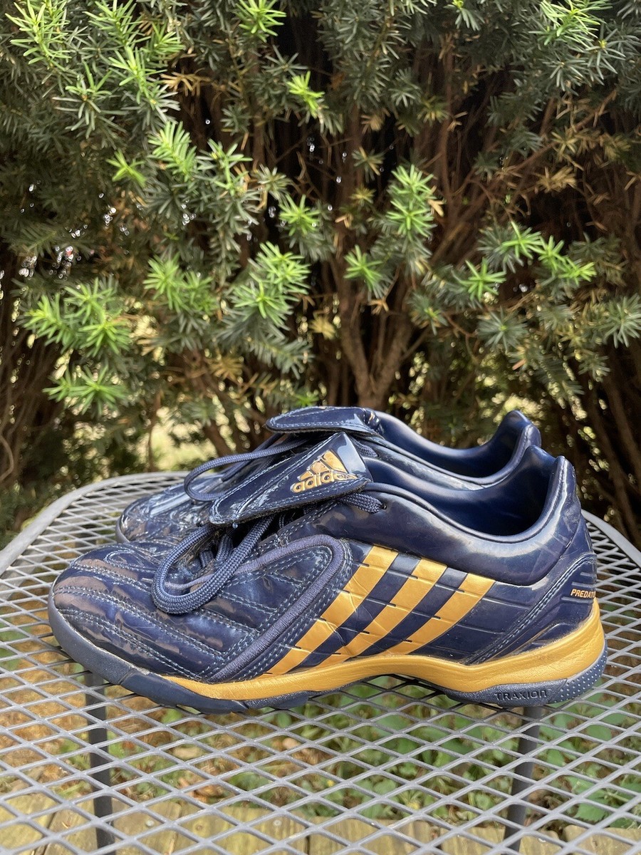 Indoor Adidas Predator Trx