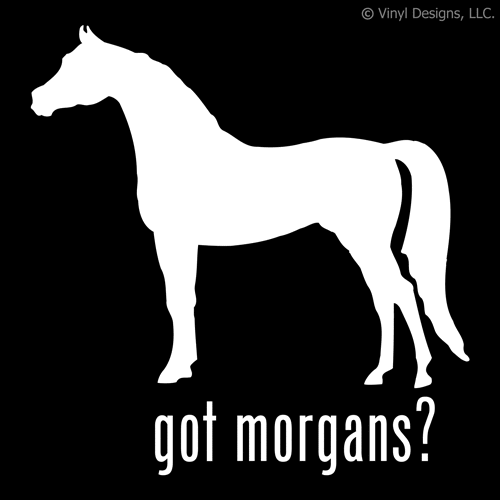 GOT MORGANS? MORGAN HORSE DECAL - HORSES STICKER | eBay