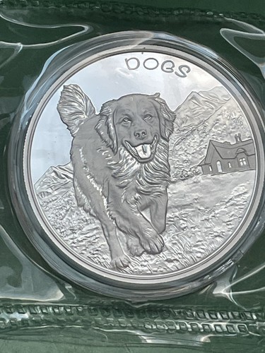 2022 Fiji Dog 1 Oz .999 Silver Proof-Like Coin Puppy In Capsule New ...