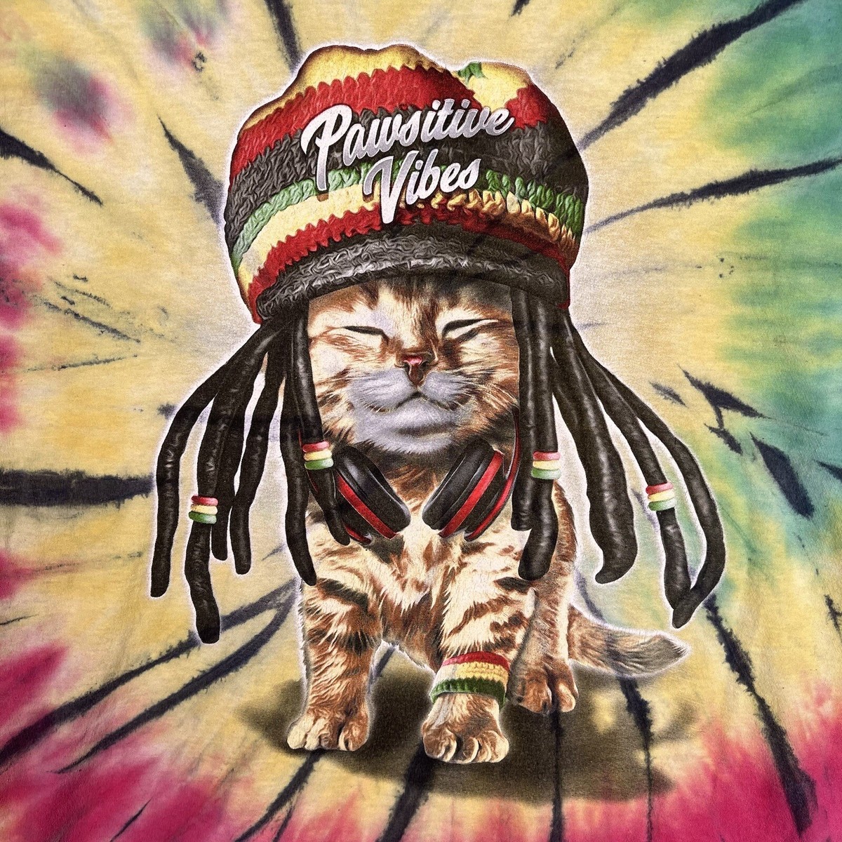 Rasta Kitten