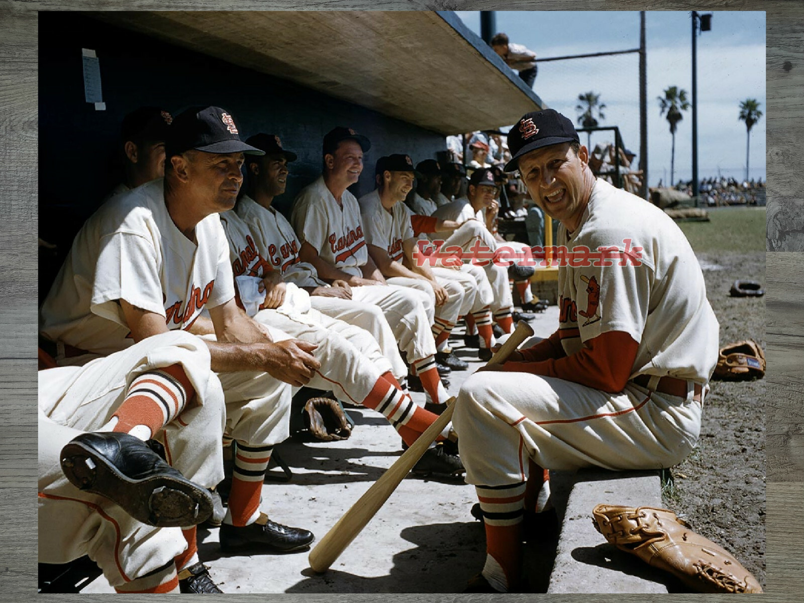 MLB 1957 Stan Musial St. Louis Cardinals Spring Training Color 8 X 10 ...