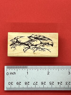 D6, Stampscapes Rubber Stamps, Boulders With Lichen sm. 210C | eBay