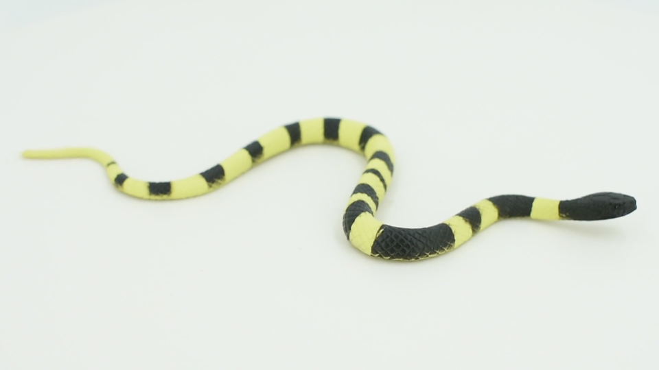Banded Krait Snake, Rubber Reptile, Realistic Model Toy Hand Painted 6 ...