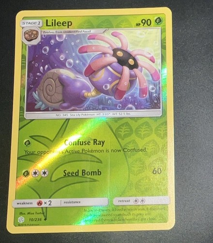 Lileep 10/236 Reverse Holo NM RARE Pokémon TCG | eBay
