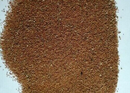 500+Shepherd's Purse Capsella Bursa-pastoris Ji Cai Naengi seeds 500 ...