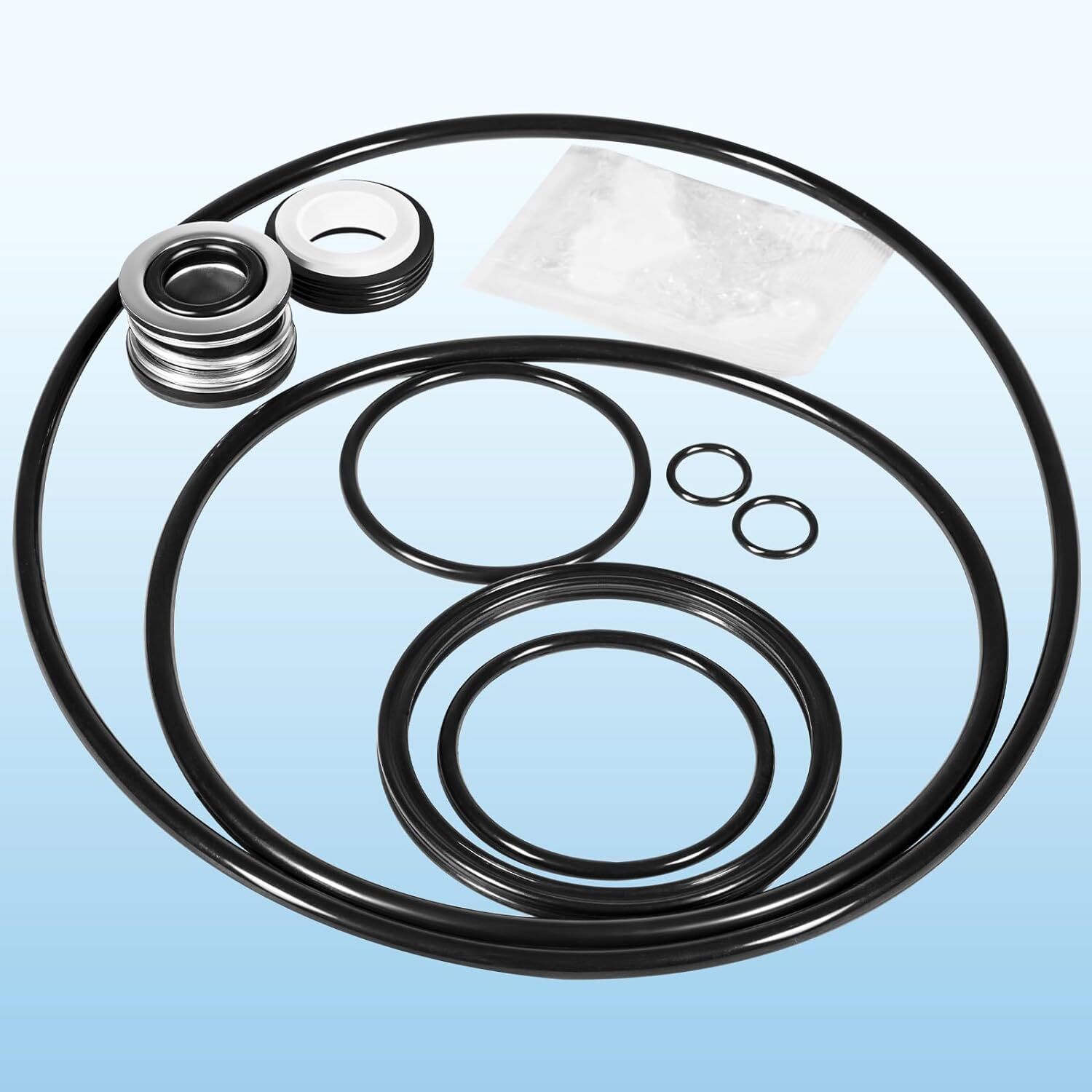 Pool Pump Gasket Seal O-Ring Rebuild Kit For Pentair SuperFlo SuperMax ...