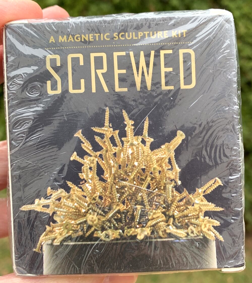 SCREWED A Magnetic Sculpture Kit Running Press Mini Kit Stress ...