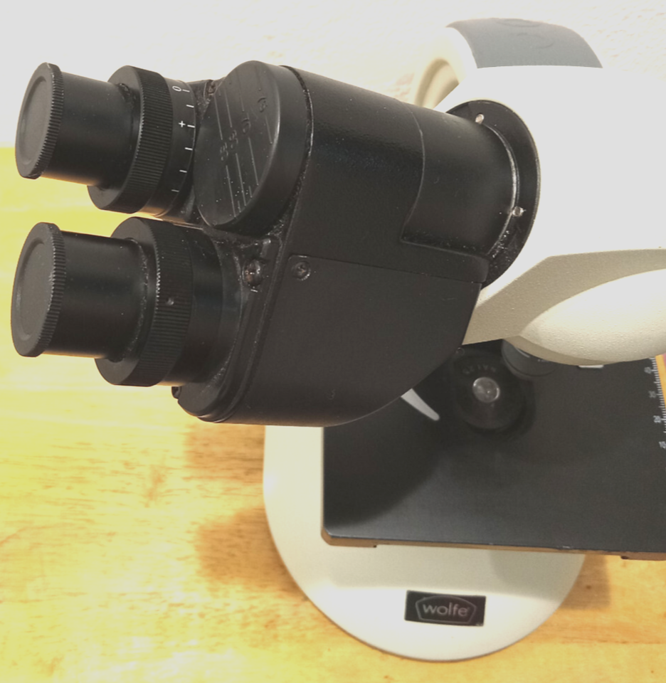 Wolfe LED Binocular Microscope (Carolina Contour) | eBay
