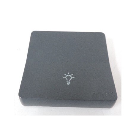 Mureva Styl Enjoliveur avec symbôle lumière IP55 IK08 gris SCHNEIDER ...