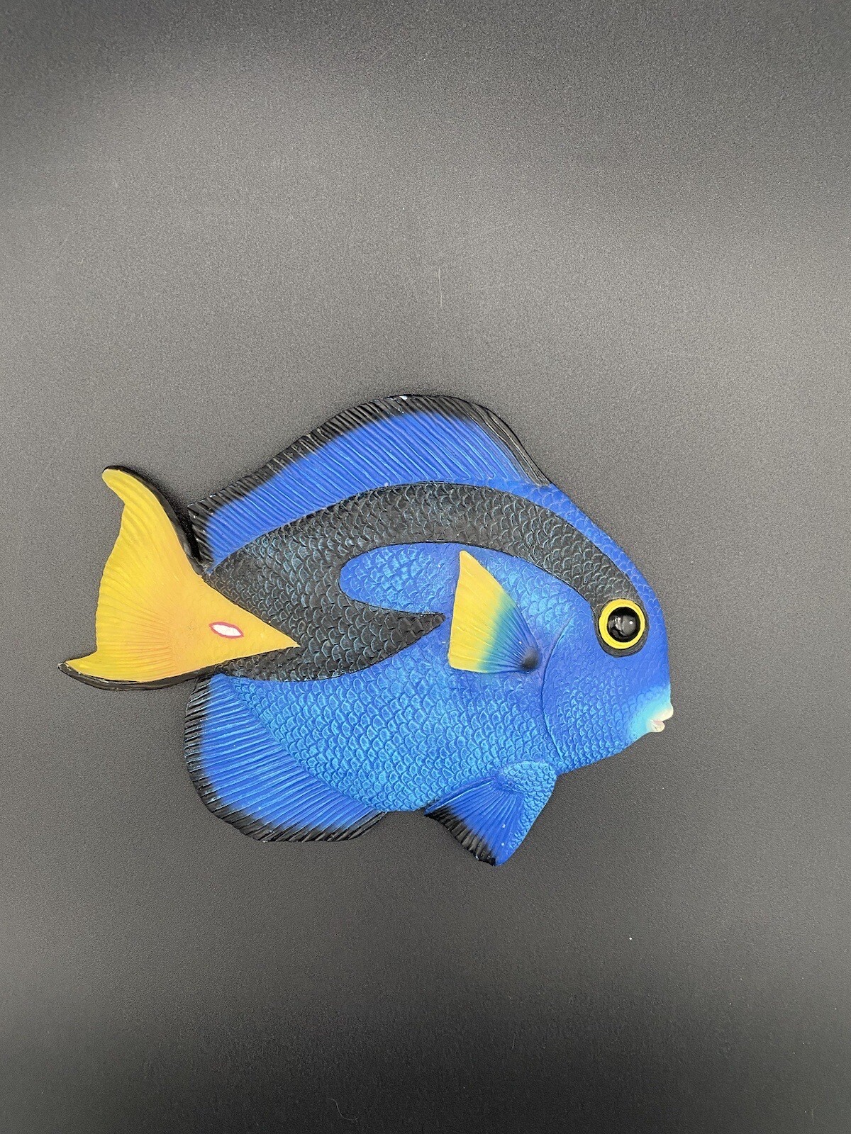 Tropical Colorful Fish Wall Hanging Clown Fish & Blue Tang-Dori Nemo | eBay