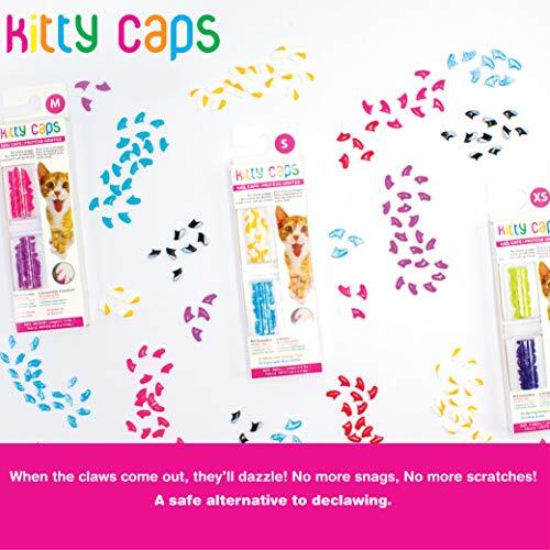 Nail Caps for Cats | Safe Stylish & Humane Alternative to Declawing ...