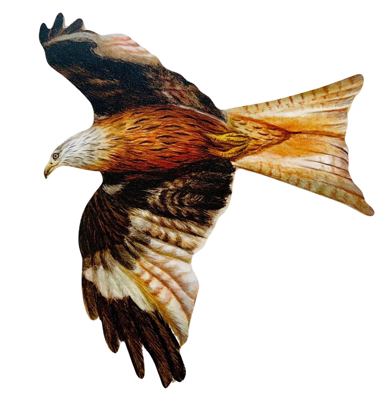 Red Kite Plaque Set - Red Kites - Red Kite Gift Red Kite Gifts - B4a/b ...