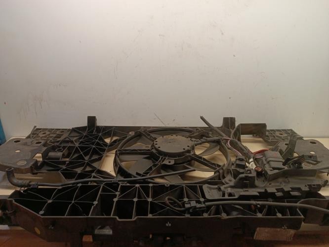 Face avant RENAULT GRAND SCENIC 3 PHASE 1 752100007R | eBay