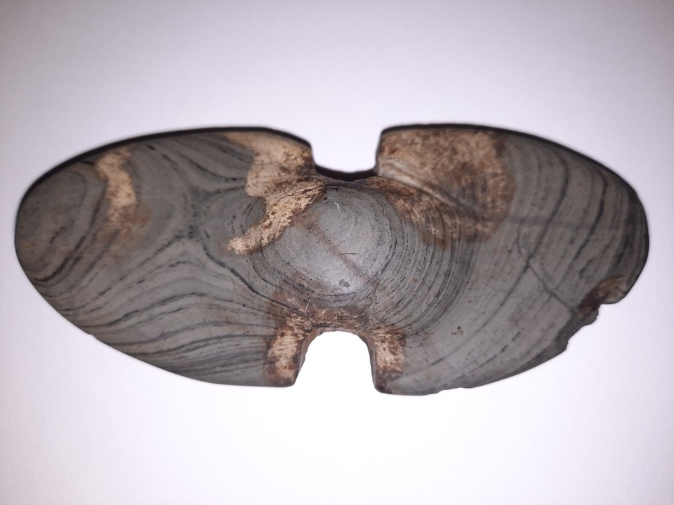 Authentic Ohio Banded Slate Double Notch Wing Bannerstone | eBay