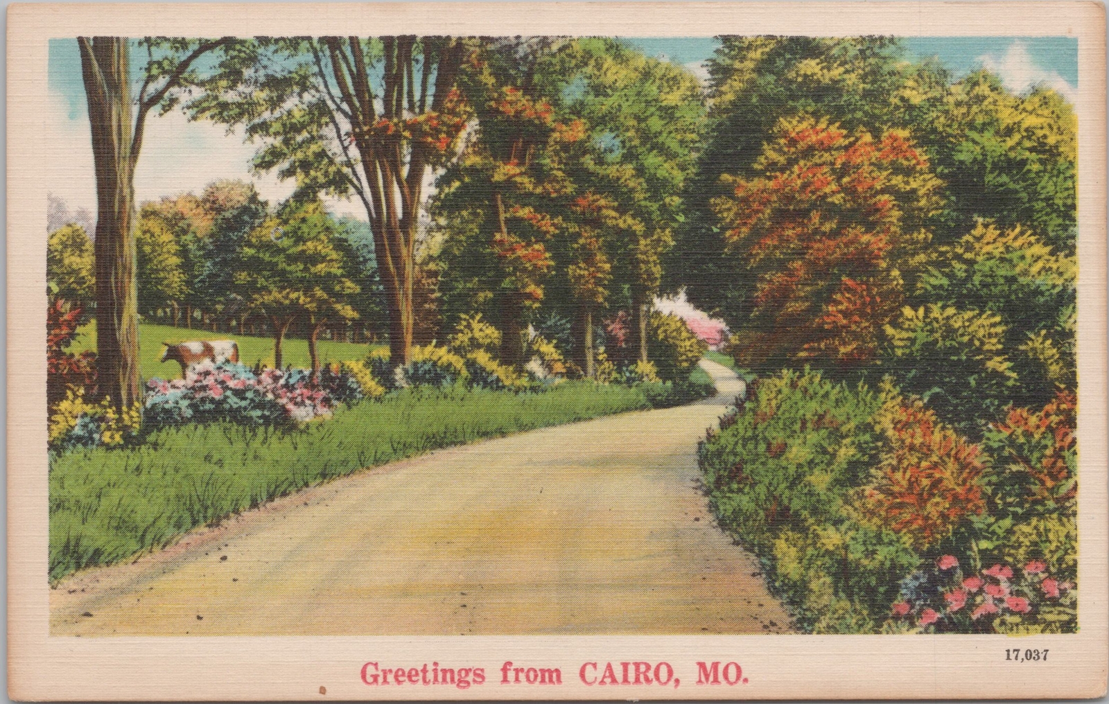 Linen~Cairo Missouri Greetings~Countryside~Dirt Road~Vintage Postcard ...