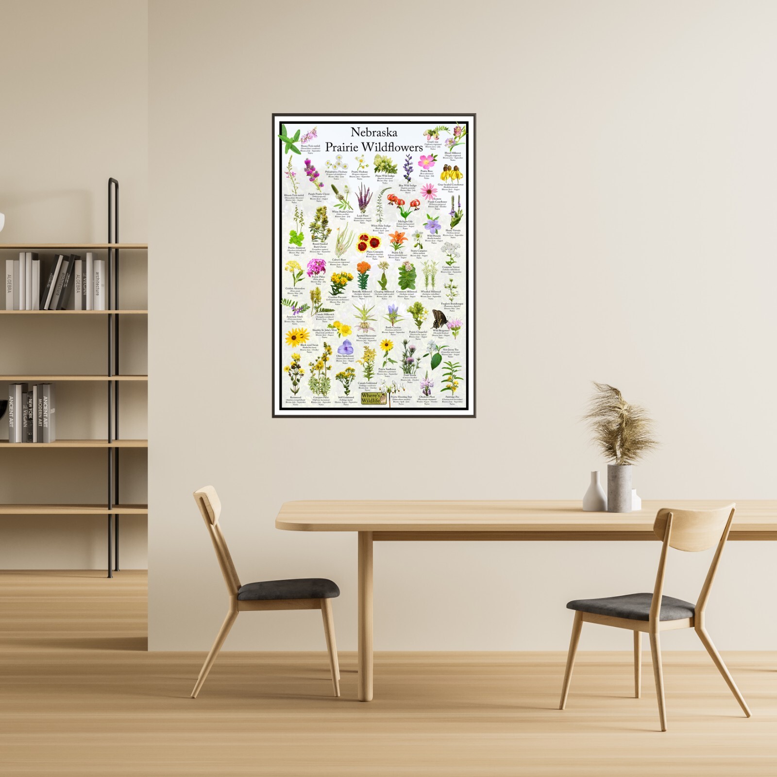 Nebraska Prairie Wildflowers Flower Identification Poster / Native ...