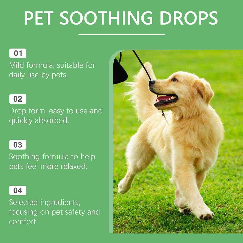 Dog Antibiotics, Antibiotics for Dogs, Natural Dog Antibiotics Drops ...