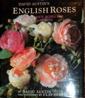 David Austin's English Roses: Glorious New Roses for American Gardens ...