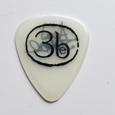Third Eye Blind Arion Salazar Signature Clear White/Black Tour Guitar ...