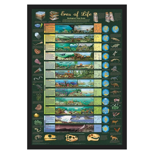 (GLASS FRAMED) ERAS OF LIFE GEOLOGICAL TIME SCALE POSTER (66x96cm ...