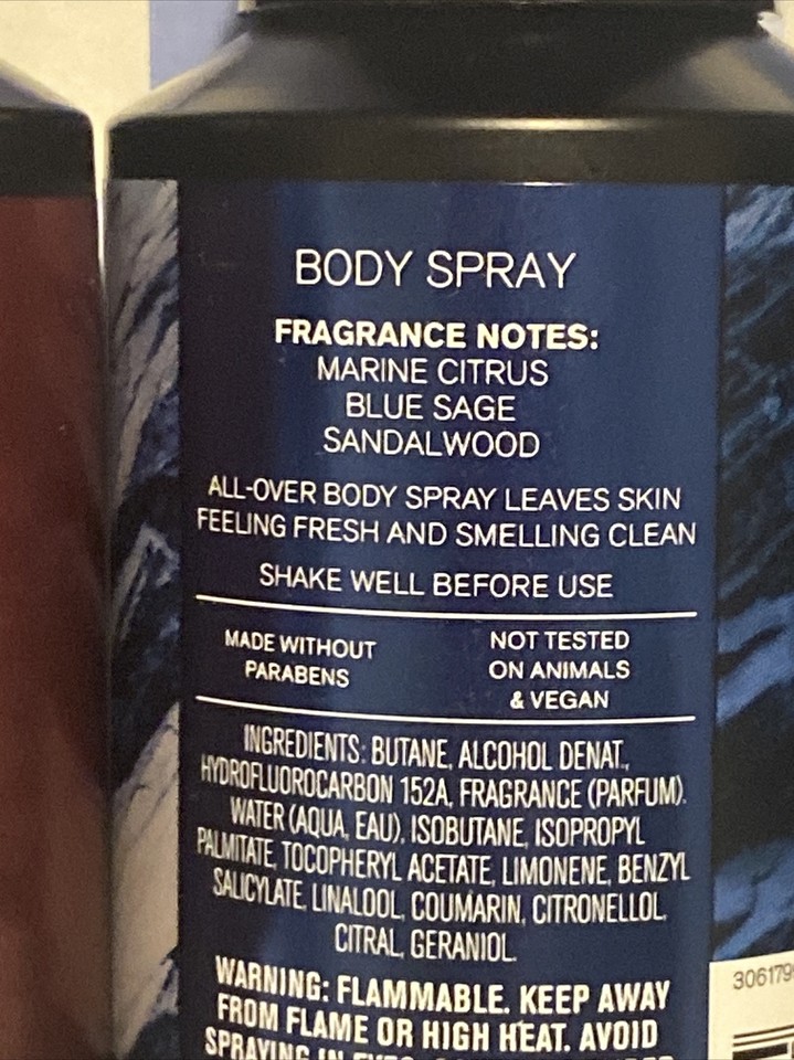 3-Pack Bath & Body Works Men's Collection Body Spray Top Sellers ...