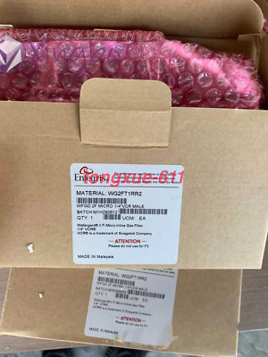 1PCS NEW ENTEGRIS WG2FT1RR2 filter | eBay
