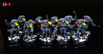 Warhammer 40k Space Wolves Primaris Assault Intercessors M1 painted | eBay