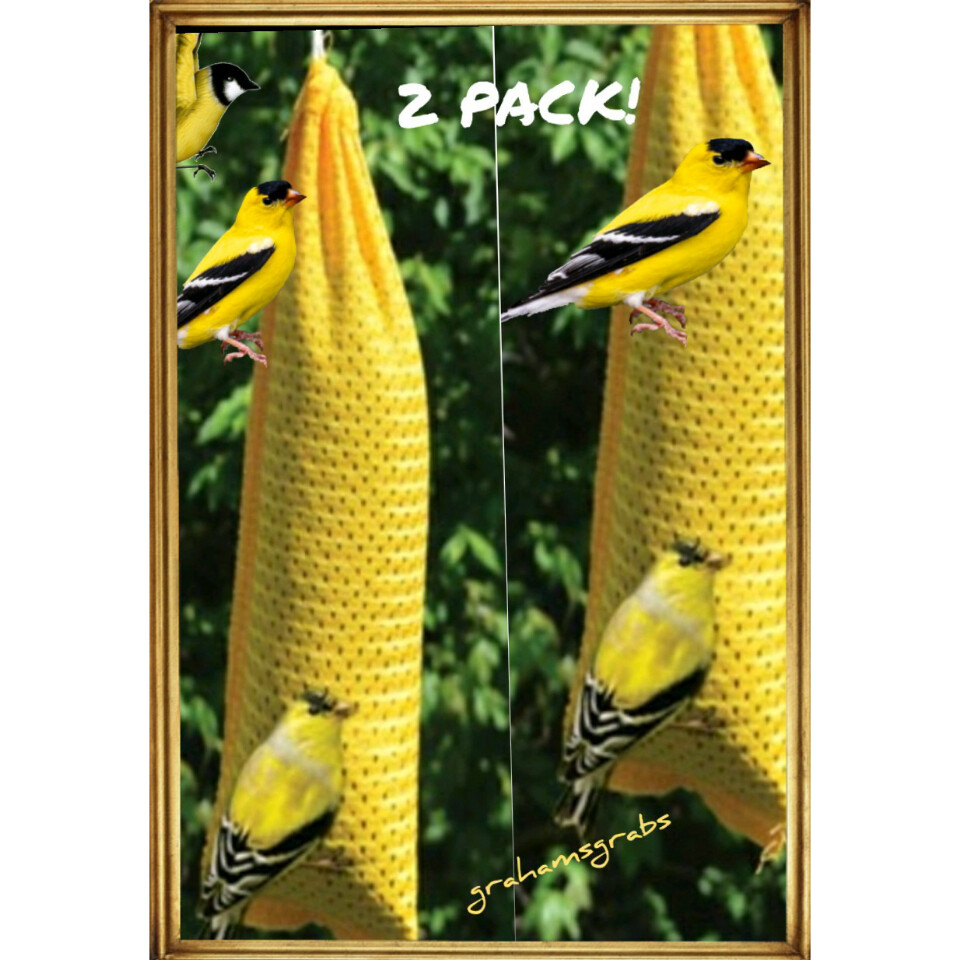 2 PK FINCH MAGIC THISTLE SOCK SE639 JUMBO GOLD2 NYJER THISTLE SEED BIRD ...