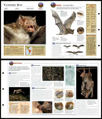 Vampire Bat #22 Mammals - Wildlife Explorer Fold-Out Card | eBay