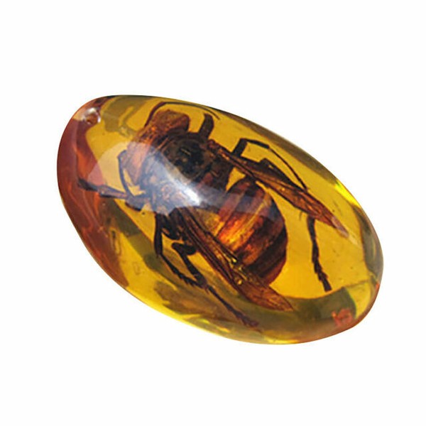 Yellow Amber Bee Natural Insect Amber Specimens for Home Decorations ...
