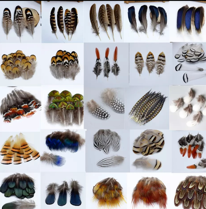 40 Types Natural Feathers Peacock Rooster Goose Guinea Duck Pheasant ...