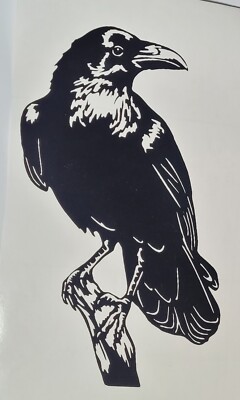 1x Crow Raven Bird Vinyl Sticker Bumper Decal Car Van Window Camper 4 ...