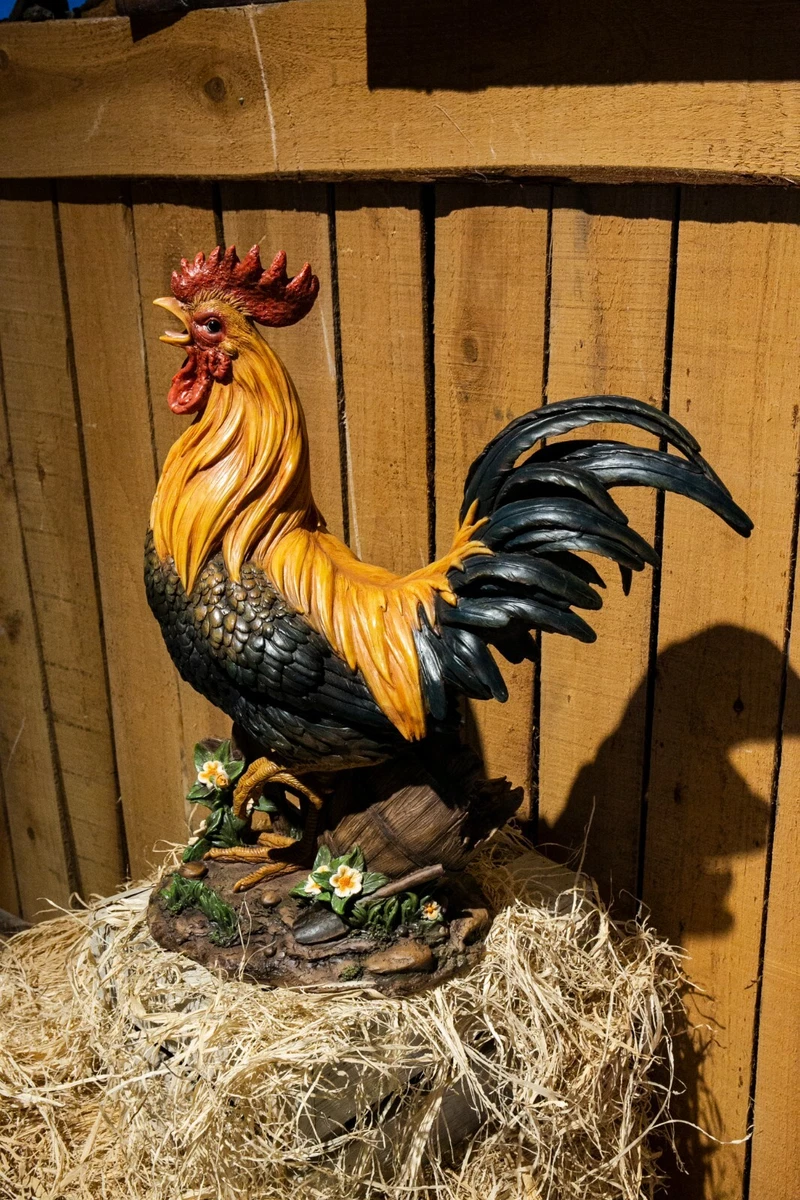 Farm Rooster