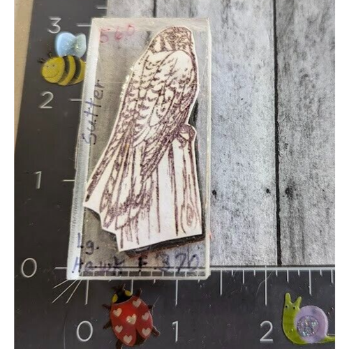 Sutter Hawk Bird Detailed F320 Acrylic Mount Rubber Stamp #D29 | eBay