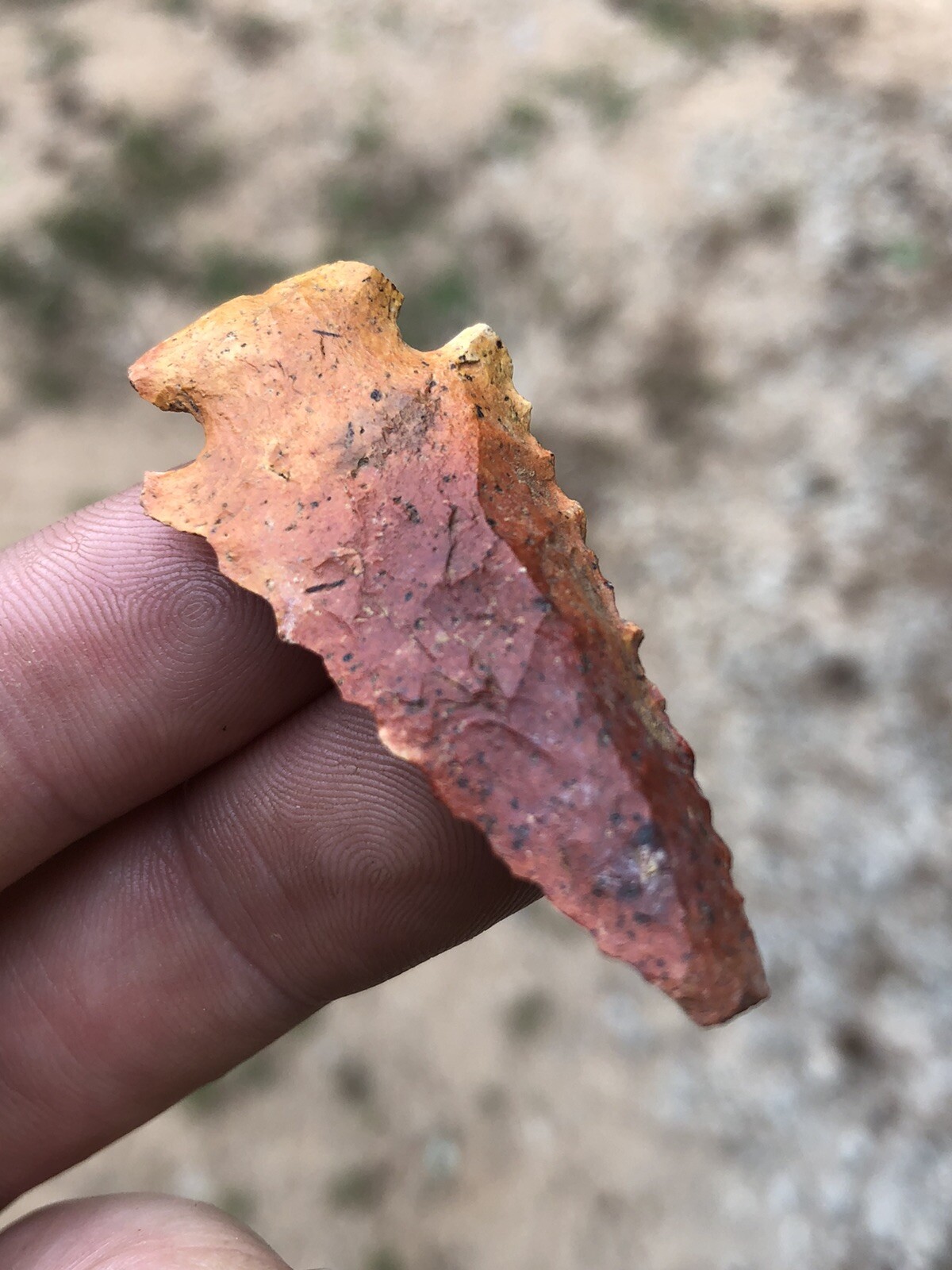 Bolen Bevel Authentic Georgia Florida Native American Artifacts ...