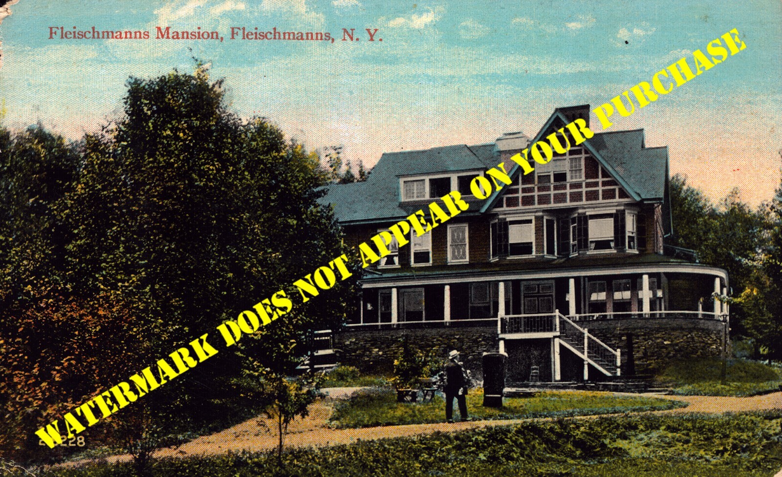 Fleischmanns NY Mansion (Mountain House) DB 6/10/1920 | eBay