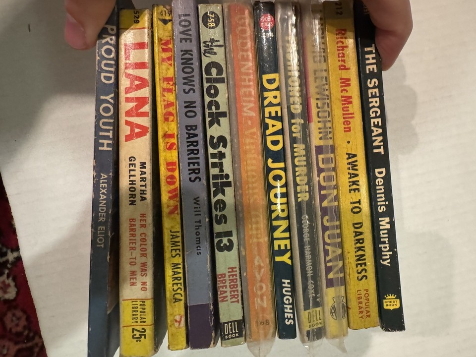 Lot of 35 Vintage Pulp Paperbacks - Crime And Camp Abound | eBay